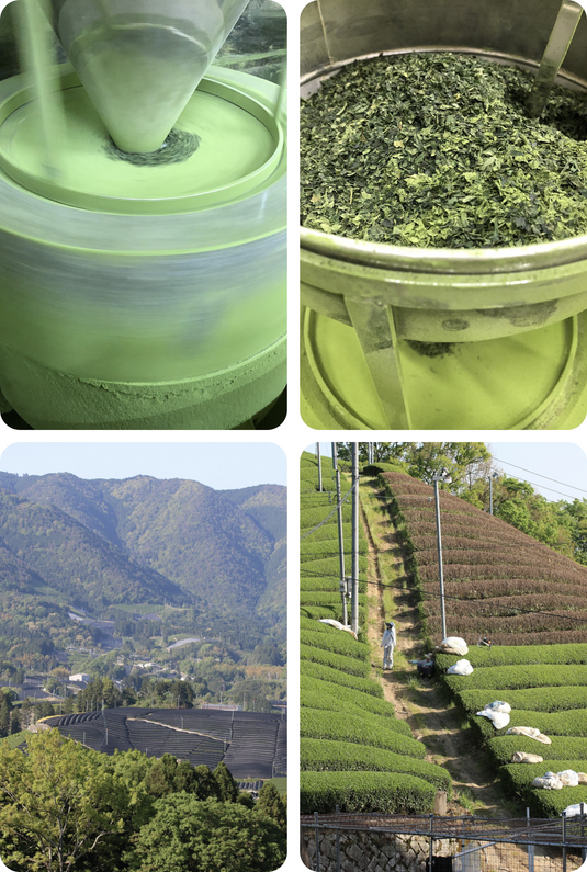 About Yanoen Plantation — The Most Delicious Matcha From Uji In Dubai ...